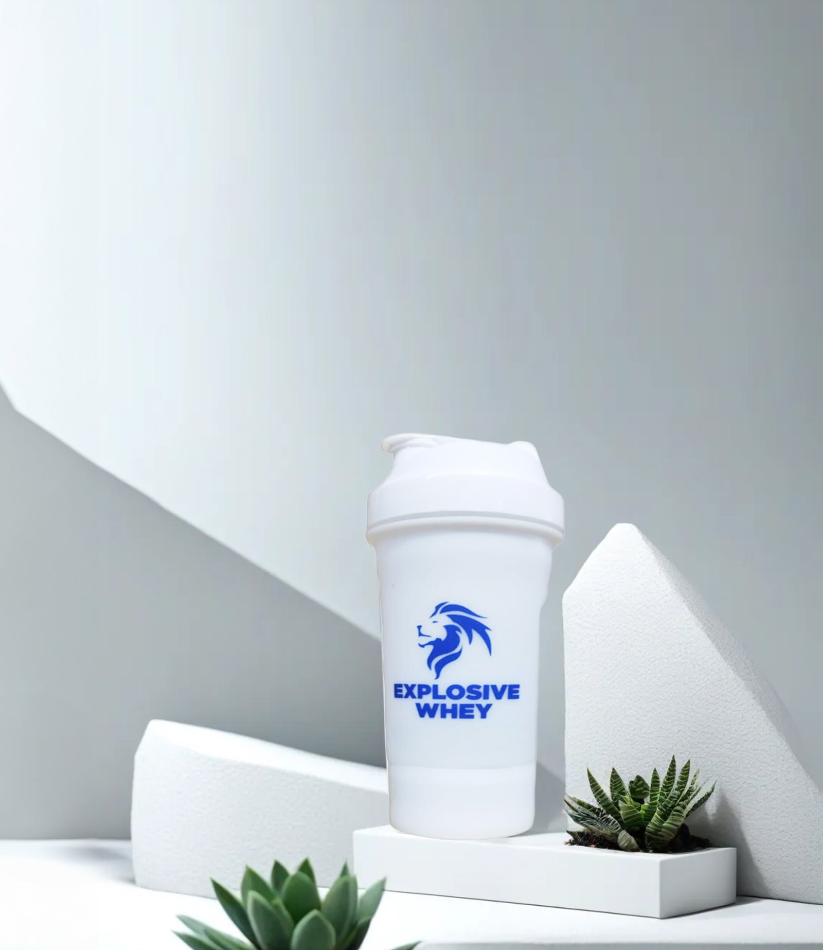 India's Favourite Athlete Standard Supplements | Explosive Whey